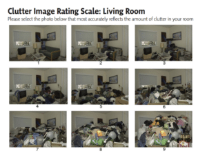 Hoarding Clutter Image Rating Scale - Benjamin Rose